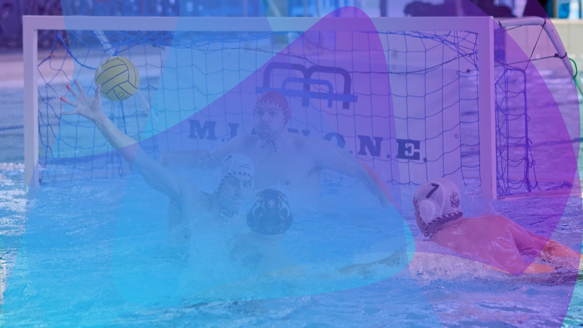 FFBN (Federation Francophone Belge de Natation) - Accueil FFBN