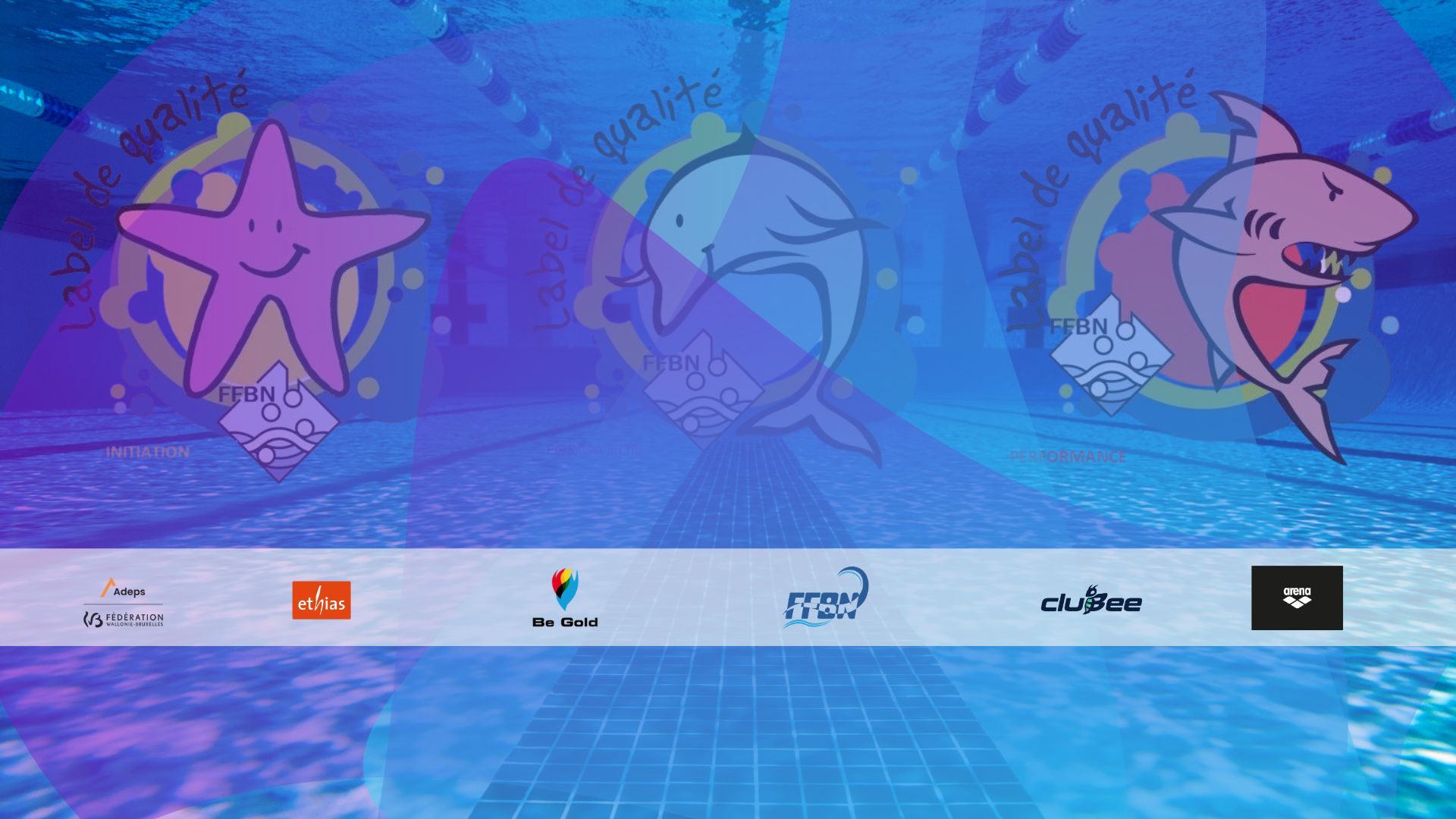 FFBN (Federation Francophone Belge de Natation) - Accueil FFBN